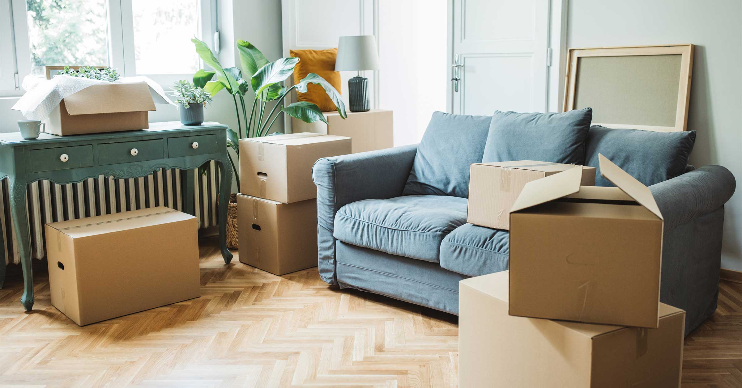 A DCS Investigation Amid Storage Boxes and Packing Tape