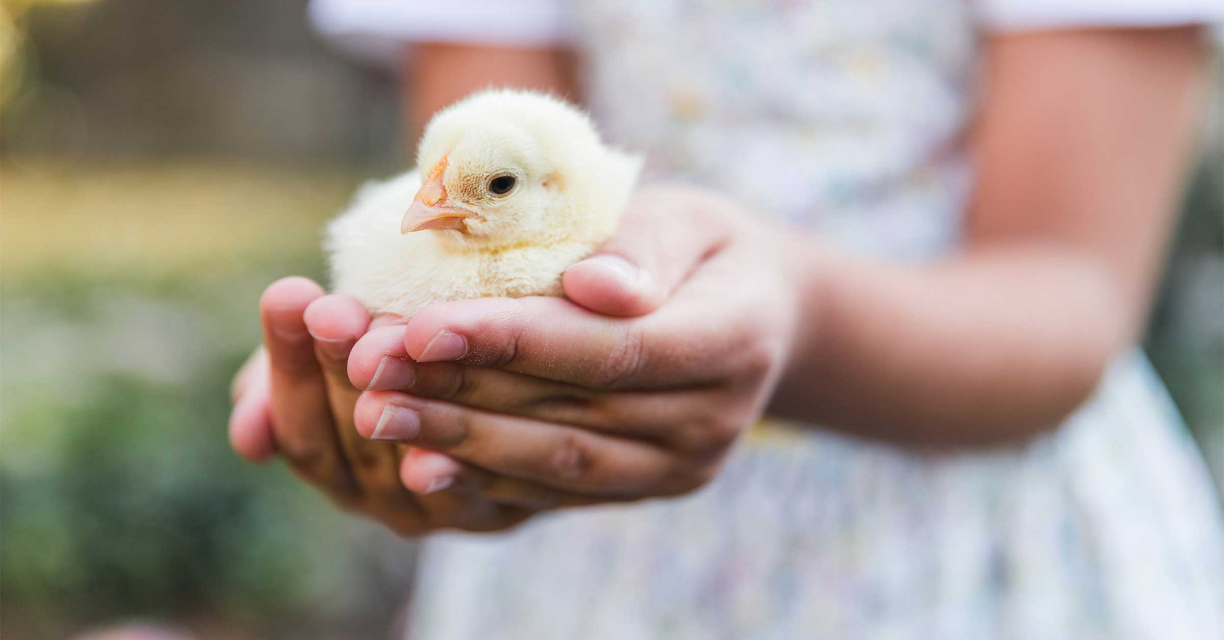 6 Fun & Easy Springtime Activities for K–8th