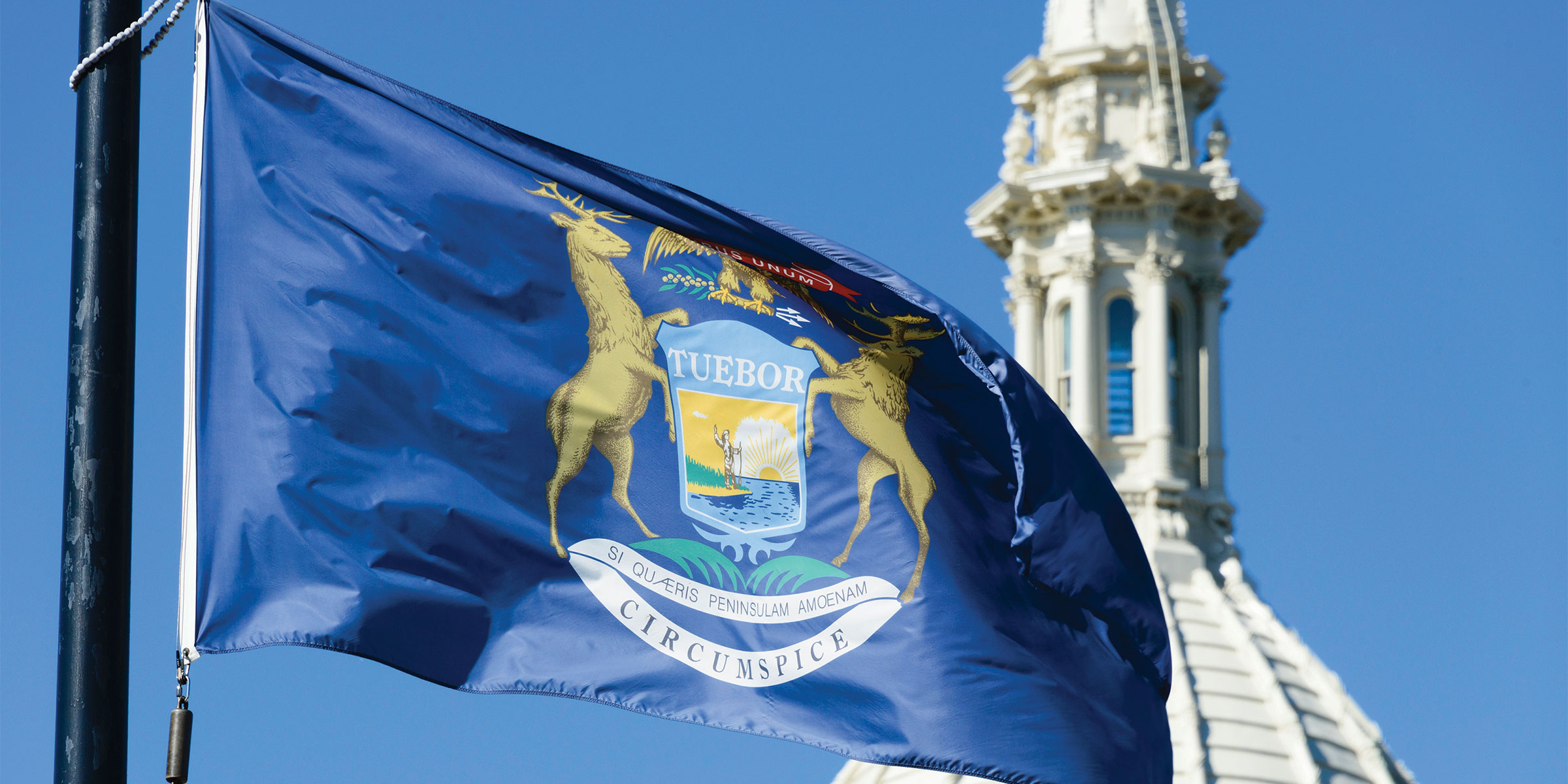 Homeschool Freedom is a Team Sport