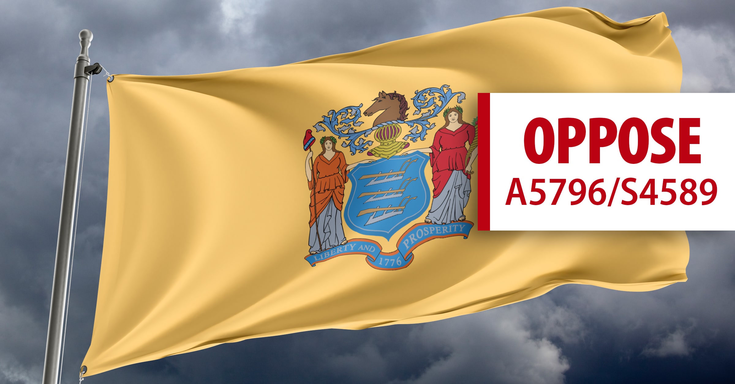 New Jersey Assembly Bill 5796/Senate Bill 4589