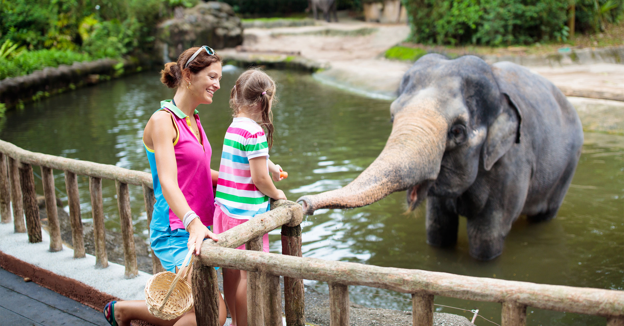 HSLDA Works with Memphis Zoo to Facilitate Visits by Homeschool Families