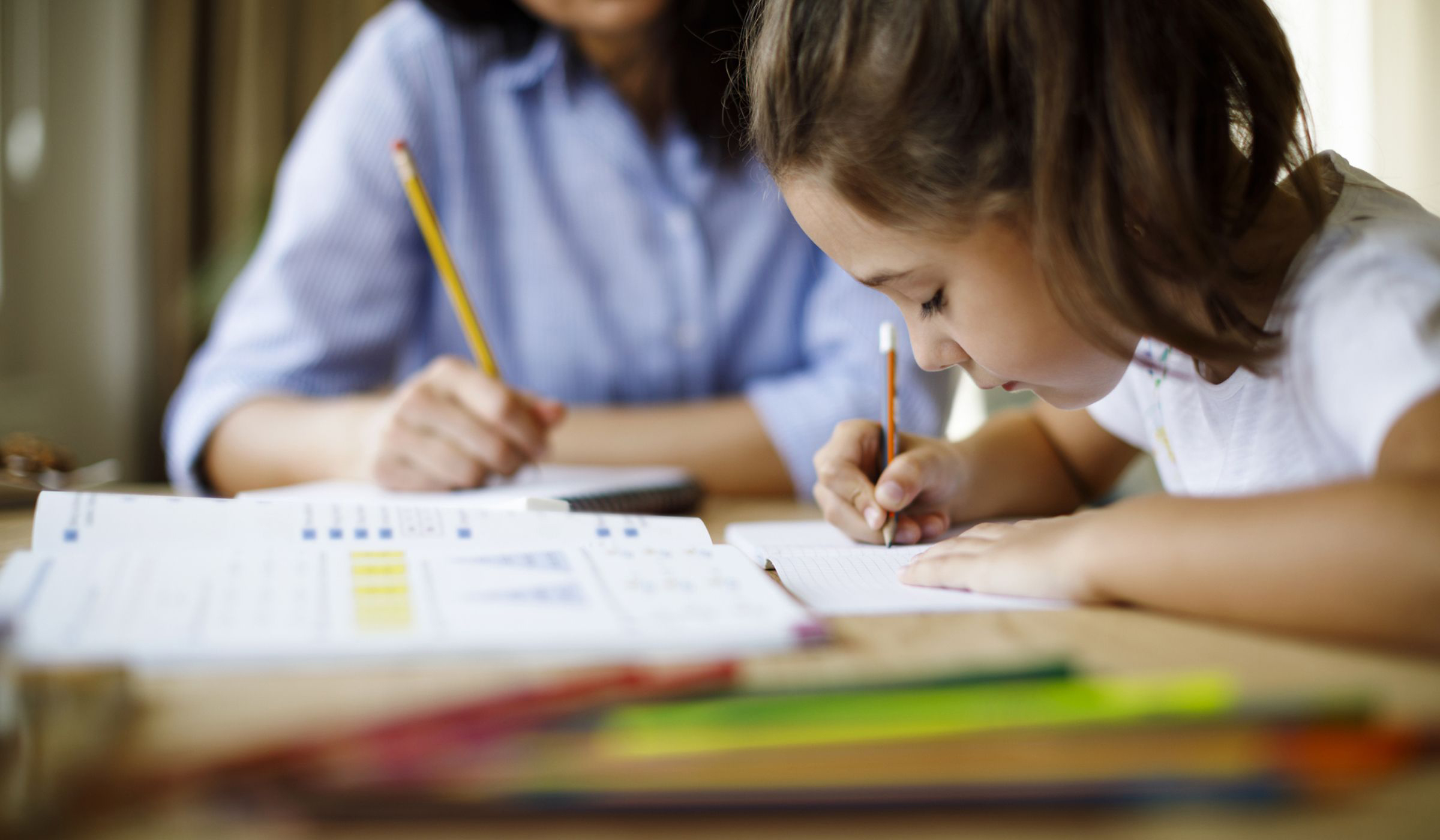 Instruction in a Home-Based Private Educational Program in Wisconsin